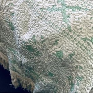 Sears | Bedding | Vintage Green Bed Sears Italian Bellissimo Fringe ...